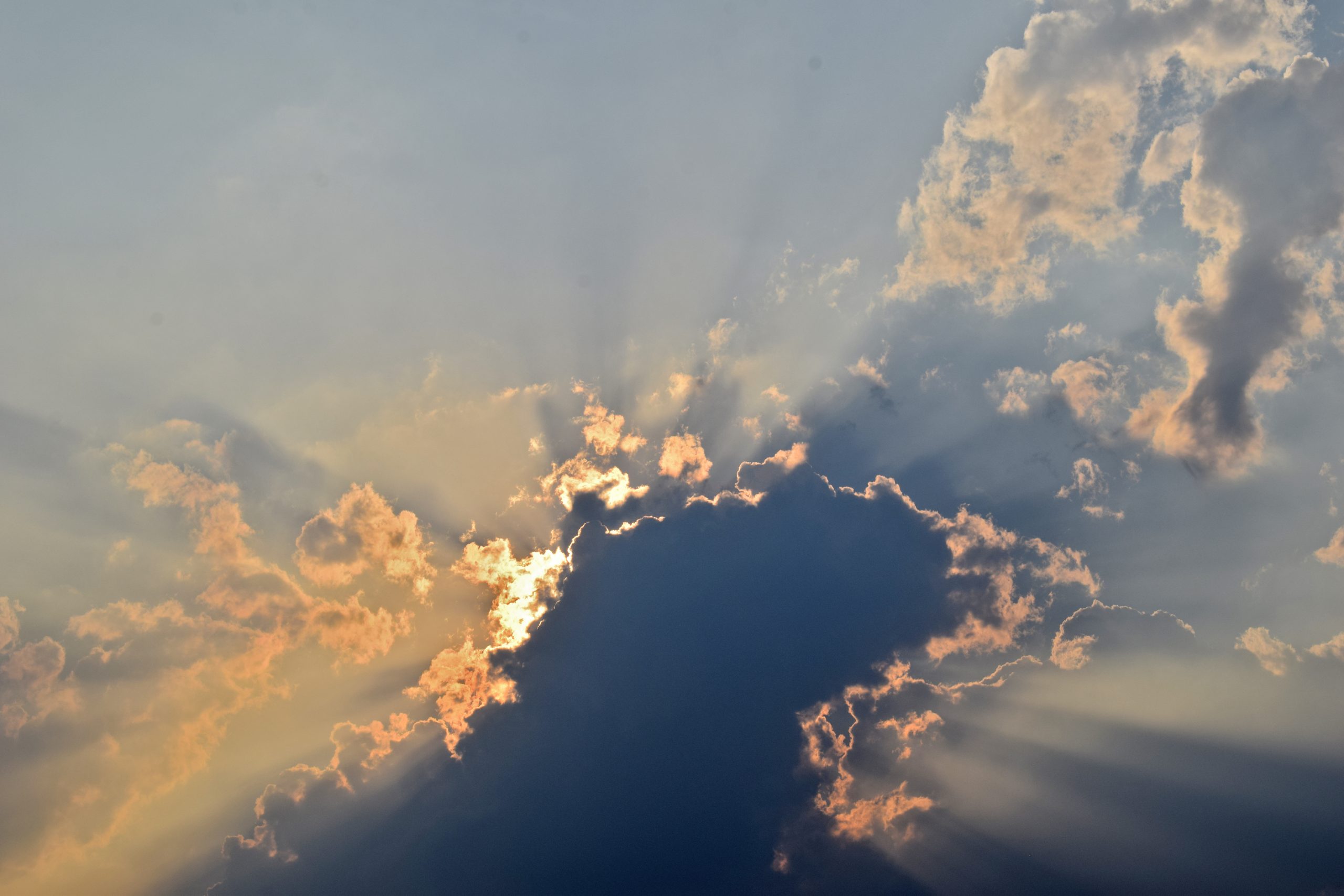 strong lighting – Samantha Font-Sala